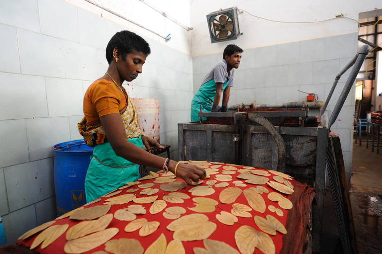 Auroville, 'the city of dawn': A mystical journey into the utopian ...