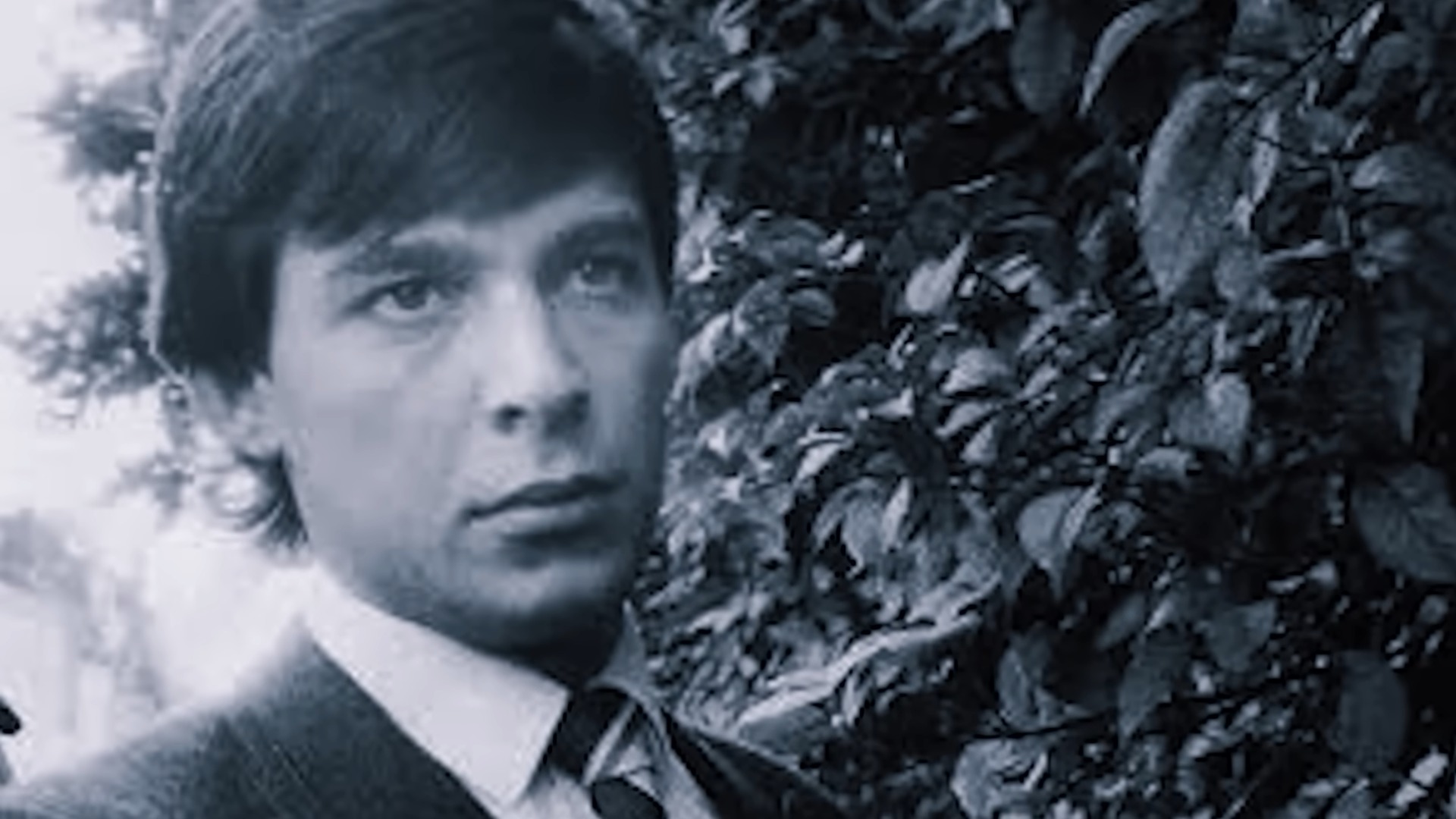 Five murders, one conviction, and a 40-year claim of innocence