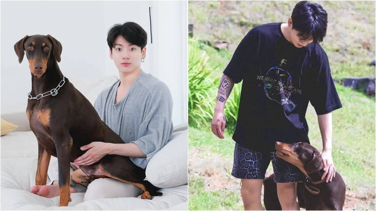 How Did BTS Jungkook's Dog Bam Come In Picture Amid His Dating Trouble ...