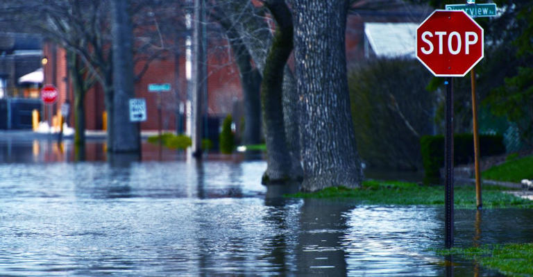 650K under flood watch as atmospheric river hits Portland—NWS issues ...