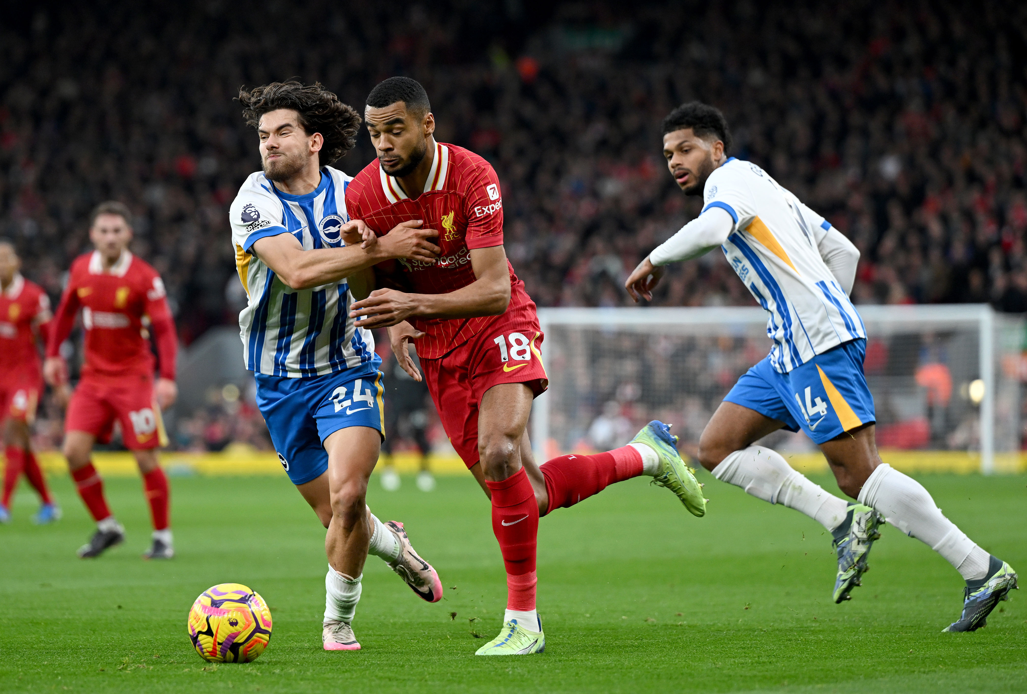 Liverpool vs Brighton team news: Eight players ruled out and six ...
