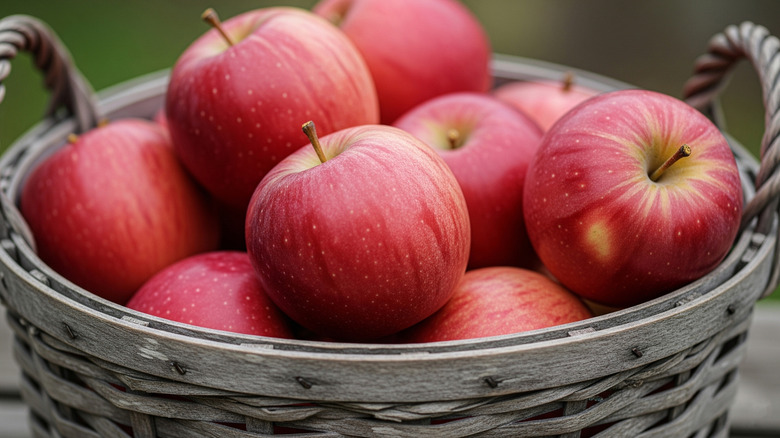The unexpected cost of apples in the 1970s vs. today