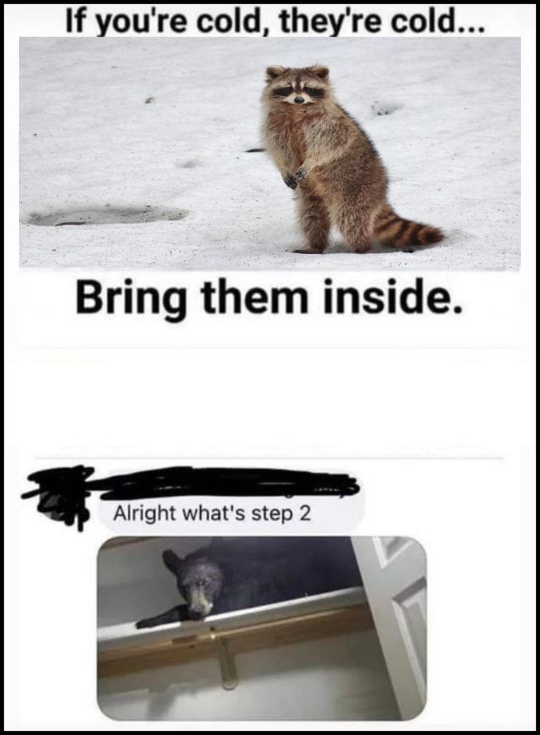 40+ cursed comments that have us questioning everything