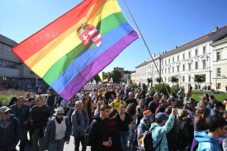 Teacher facing jail for throwing Pride march regrets nothing: 'Queer ...