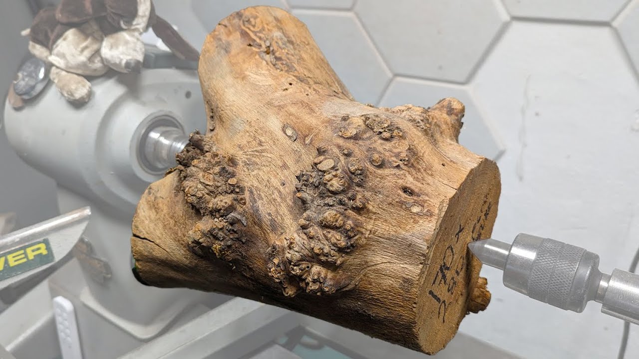 How to turn scrap elm into a masterpiece wood bowl