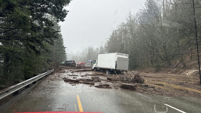 Skykomish River flooding swamps homes, shuts down 203 outside Monroe, WA