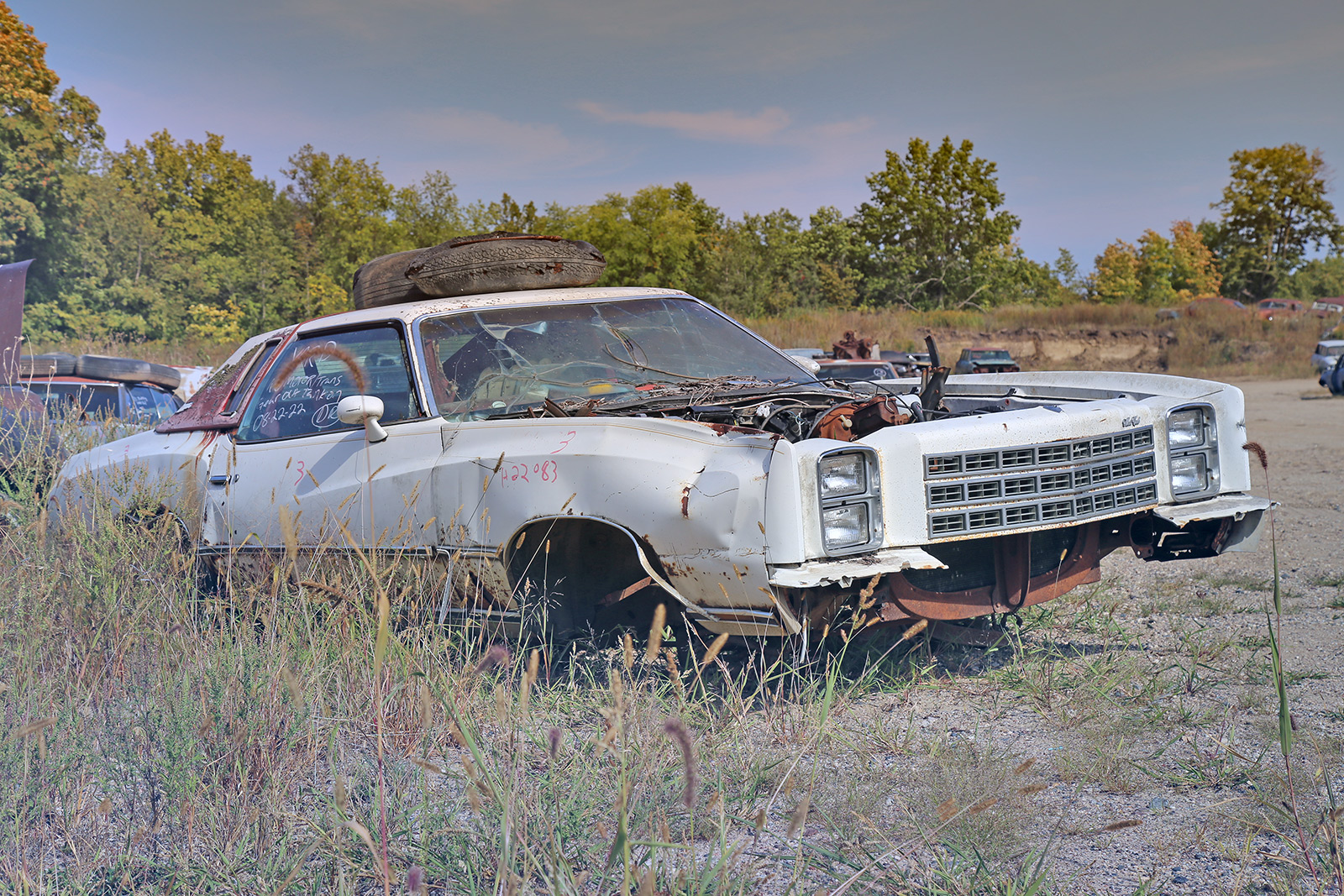 Junkyard treasures from French Lake Auto Parts, Annandale, Minnesota
