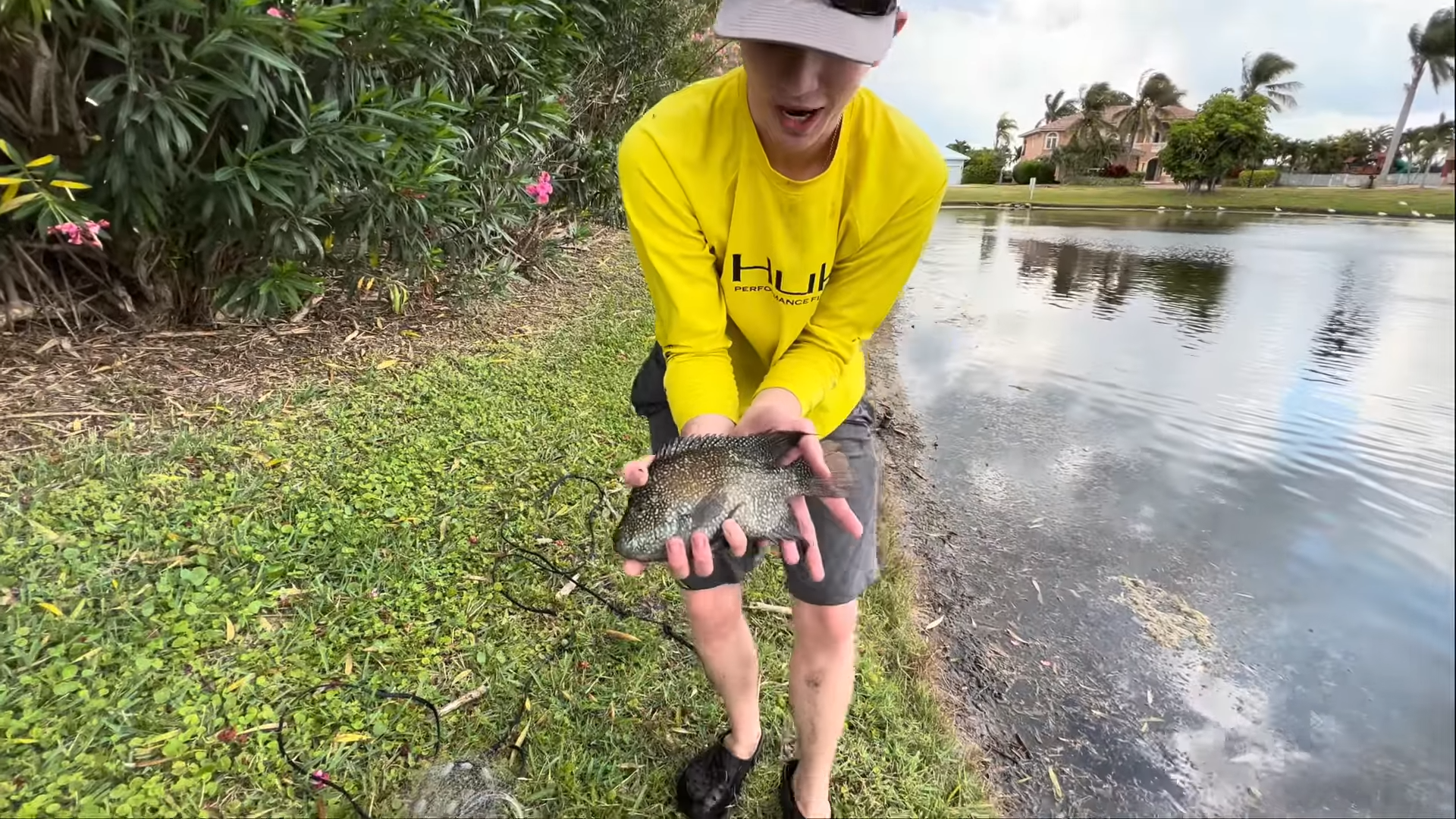 Catching colorful aquarium fish for my pond