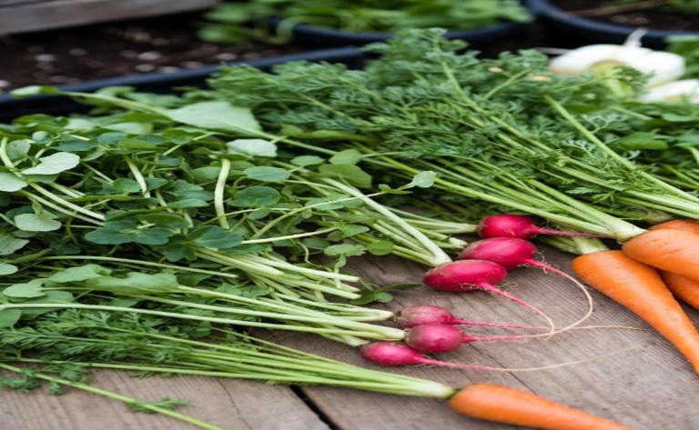 The healthiest vegetable, according to the CDC, packs a powerful ...