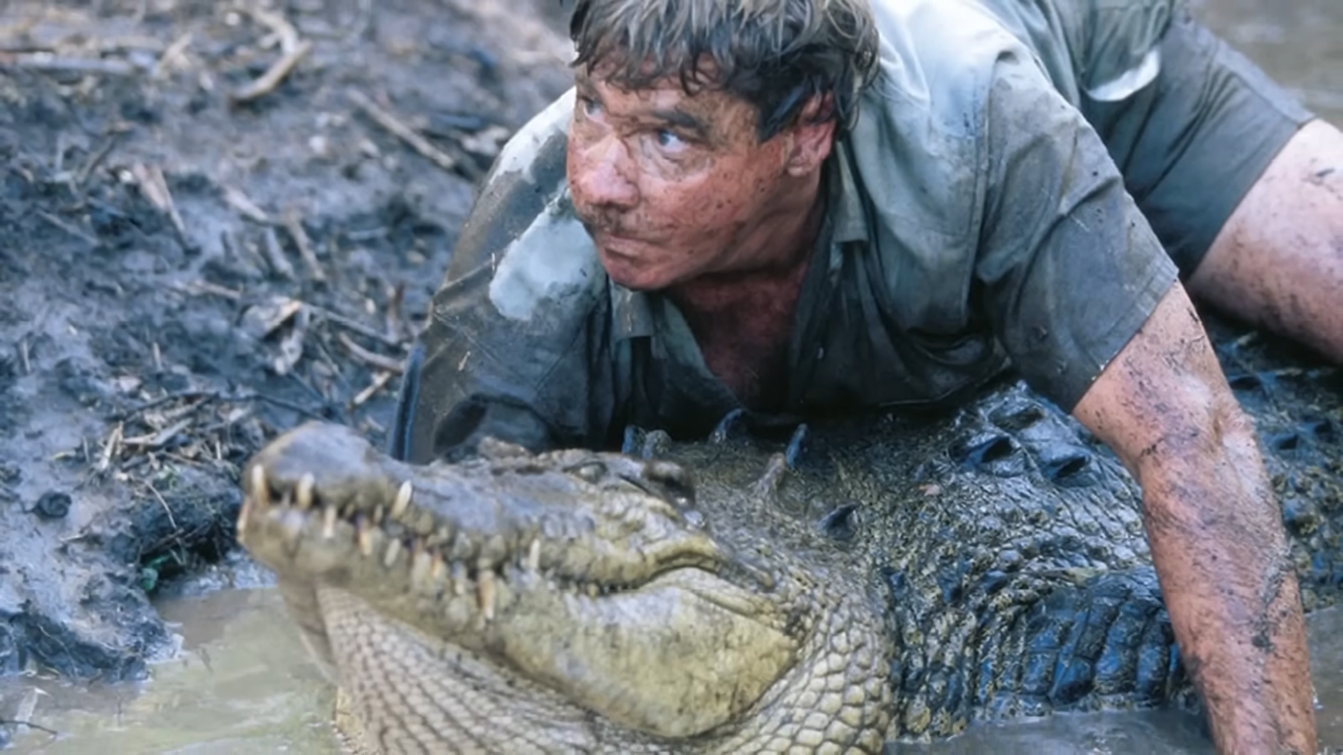 Why you could never trust animals - RIP Steve Irwin