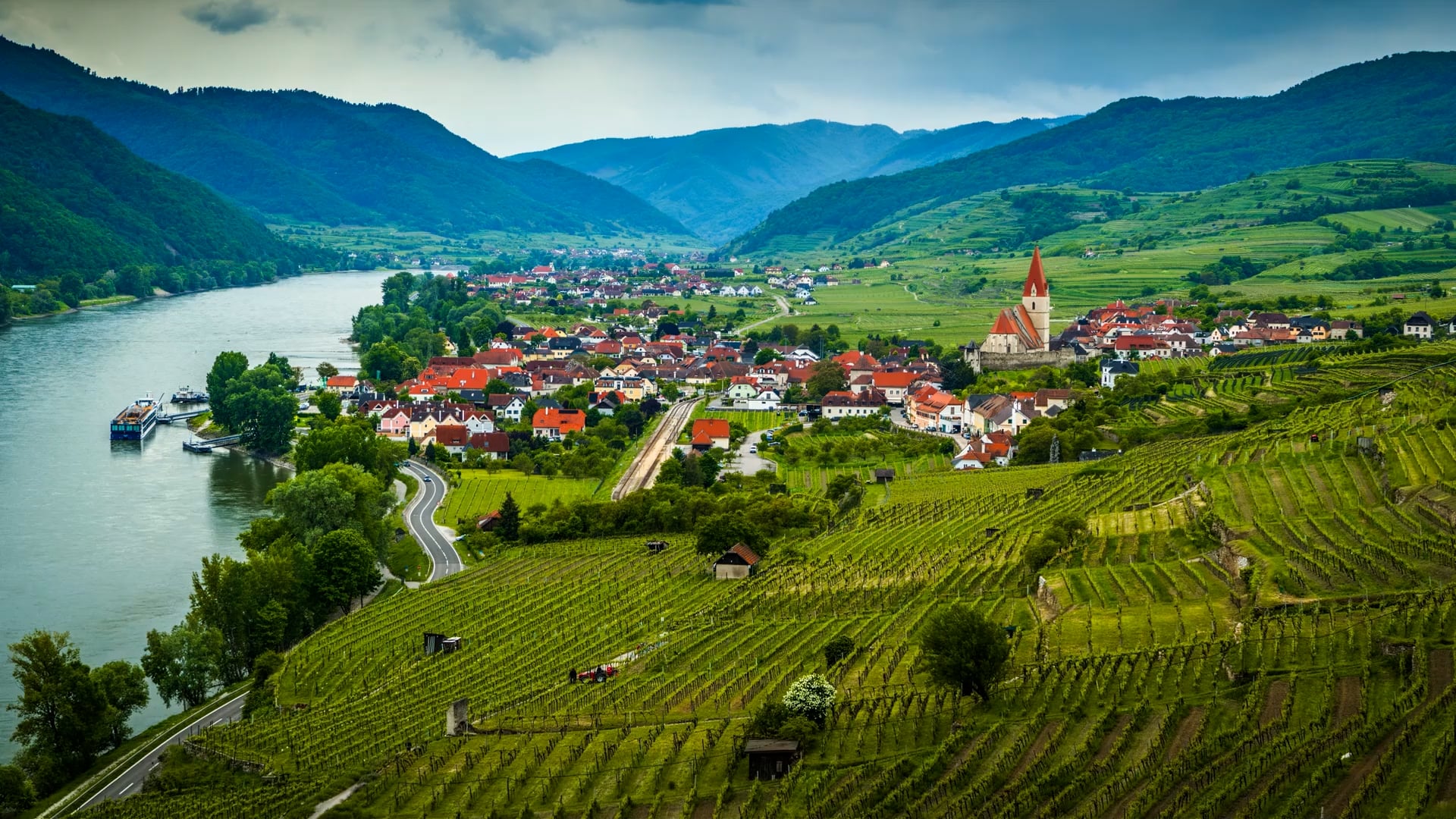 Discover Wachau Valley's vineyards & fortresses from above