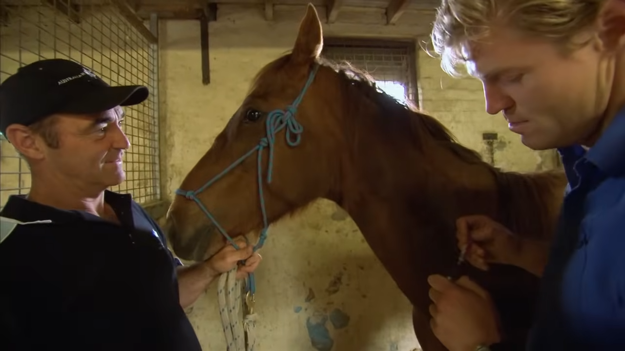 How a starved racehorse got the chance at a new beginning