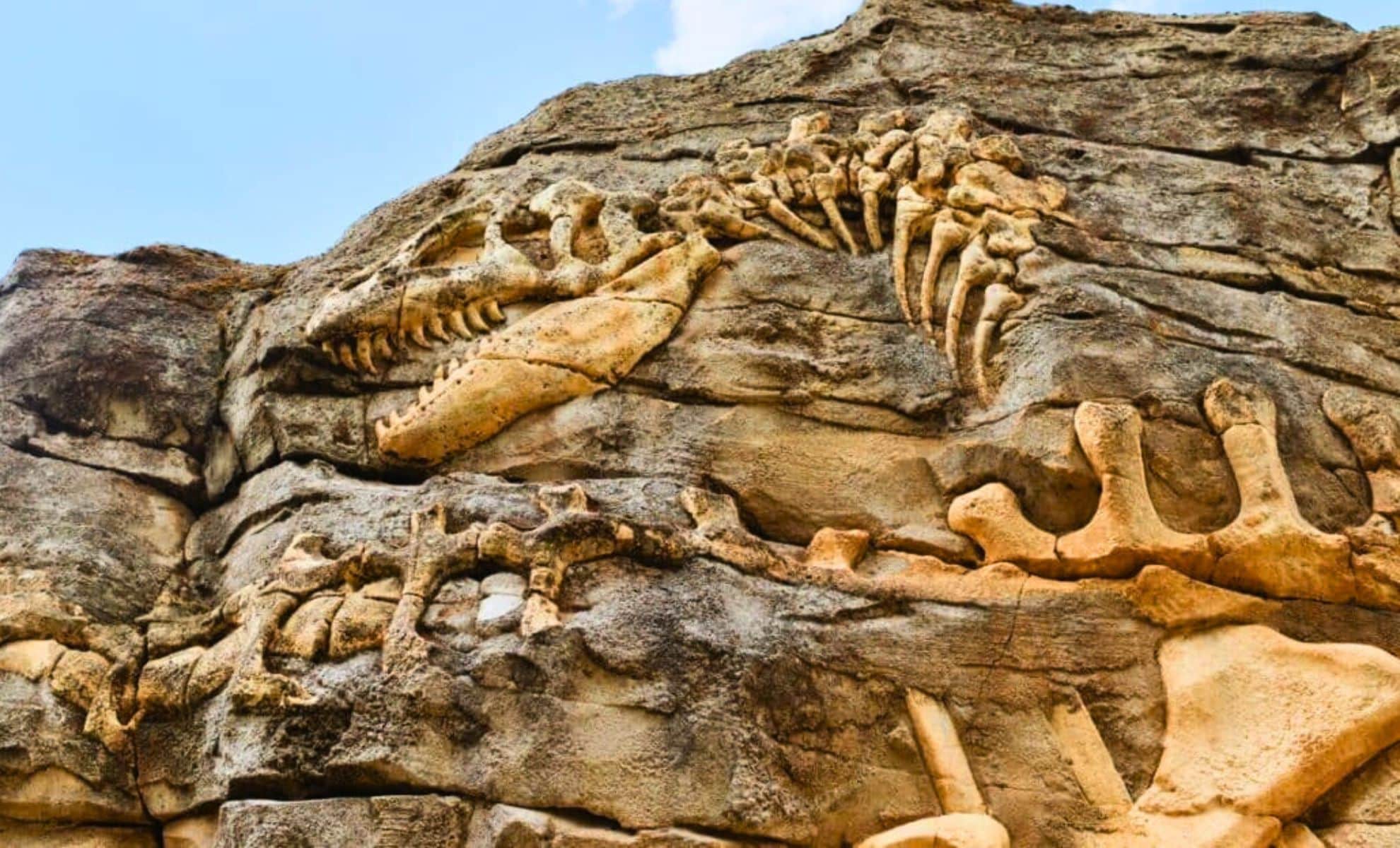 A 92-foot dinosaur was unearthed by accident in China—and it might be ...