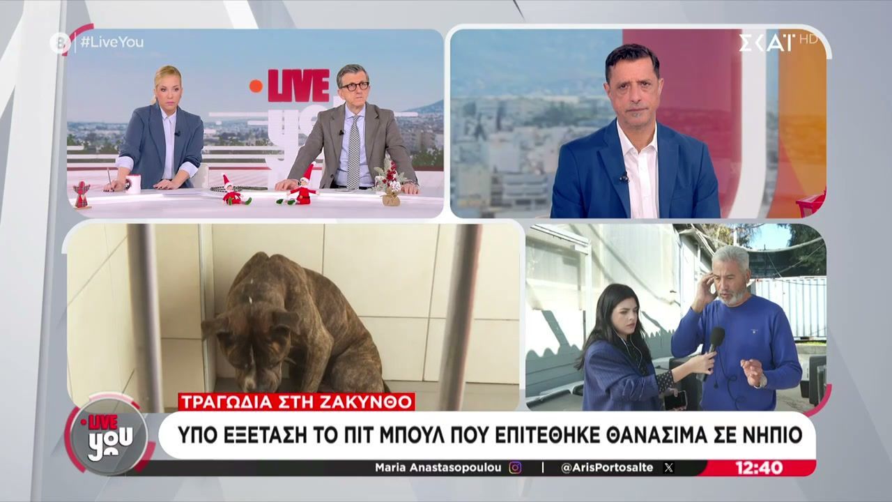 Τραγωδία στη Ζάκυνθο: Υπό εξέταση το πιτ μπουλ που επιτέθηκε θανάσιμα ...