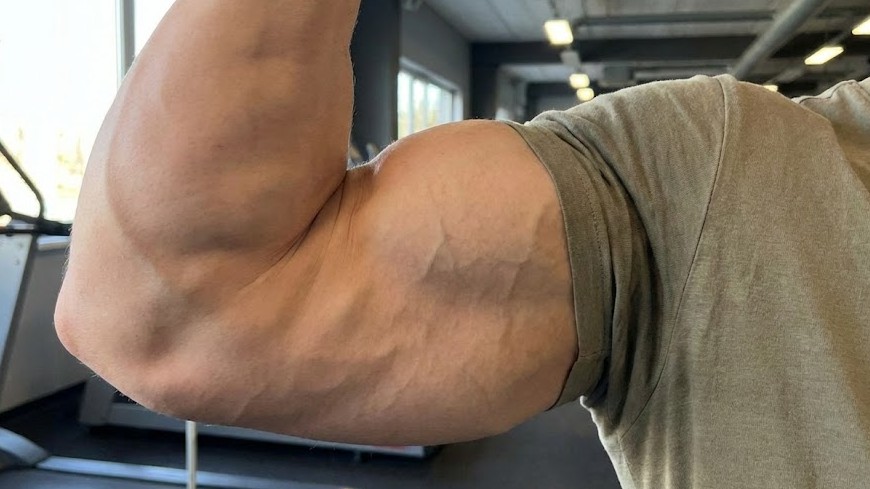 Stop muscle atrophy by changing your day to day easily