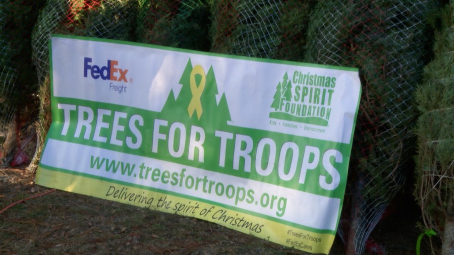 Trees for Troops brings holiday cheer to Fort Gordon soldiers