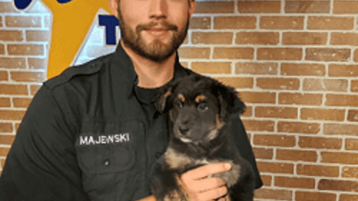Adoption photo sparks frenzy, but it's not for the dog