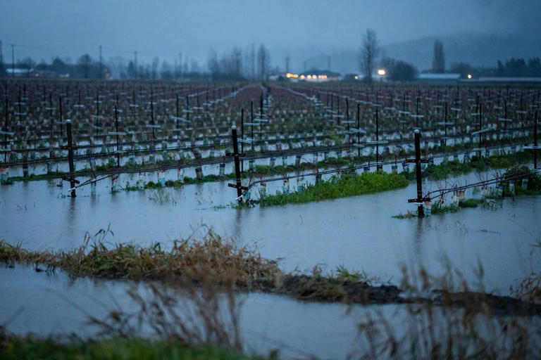 Evacuation orders issued for hundreds in Abbotsford, BC., amid flood ...
