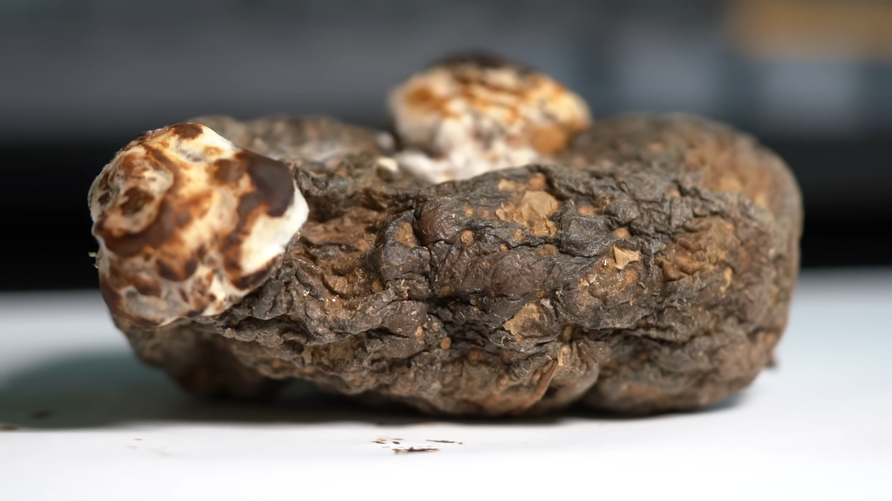 The poison that grew inside a baked potato