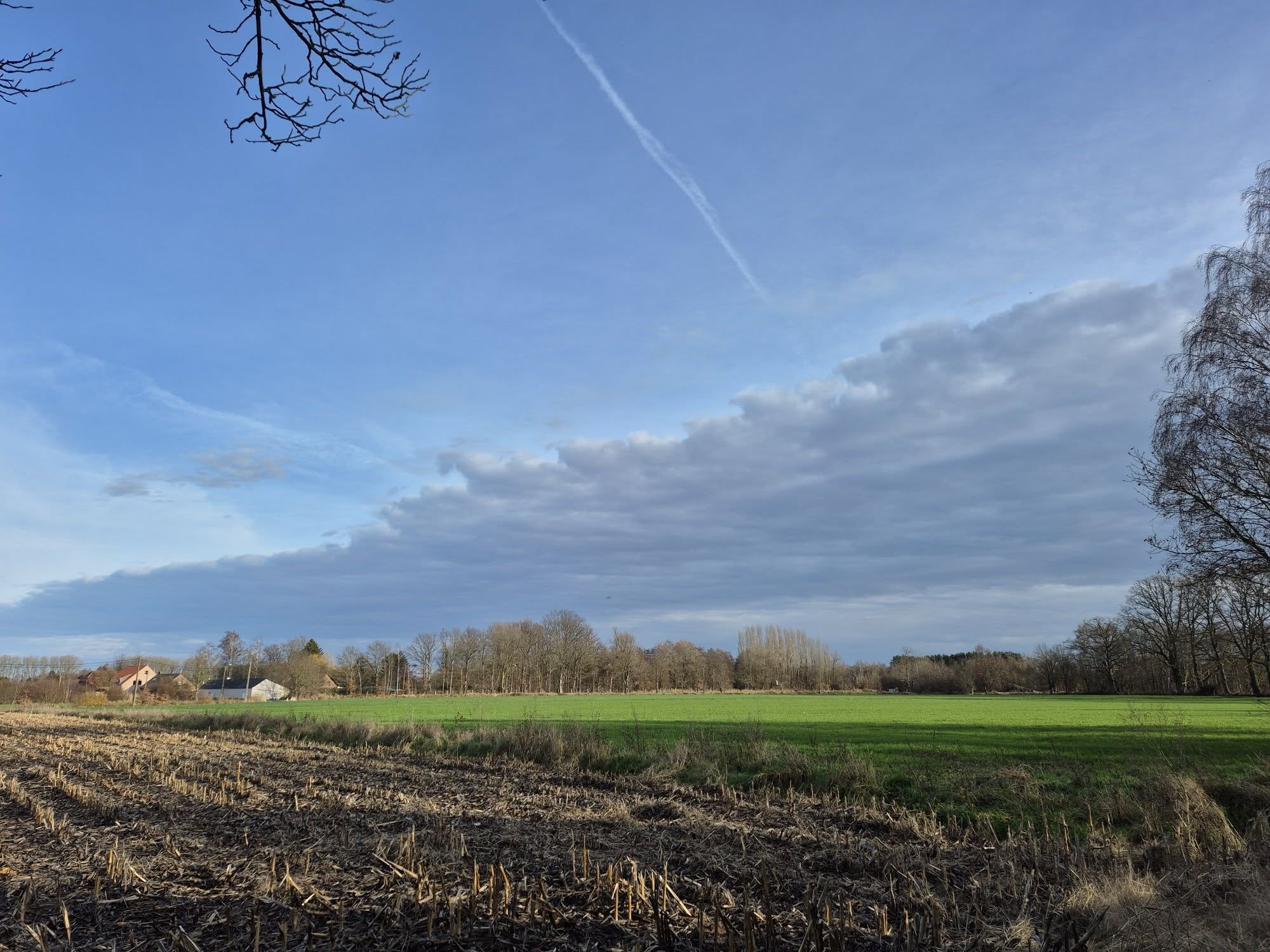 Weerman Samuel: "Gevoelig kouder tijdens kerstdagen"