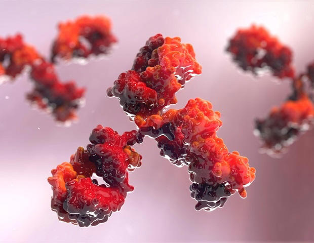 Researchers develop antibody to combat HCMV, a common, overlooked virus