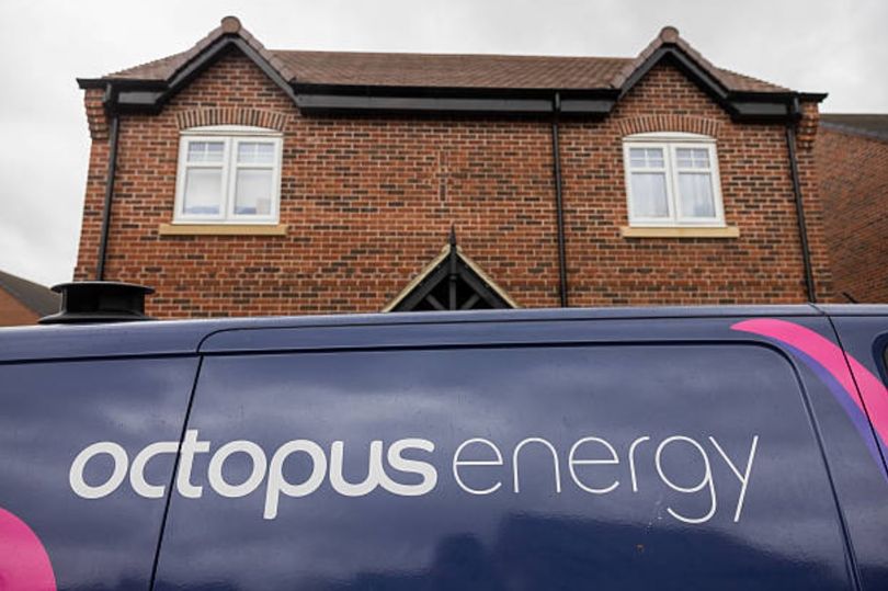 Octopus Energy announces 'company first' with one million customers to ...