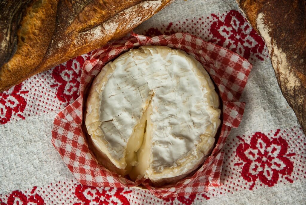 Cheese helps stave off dementia, suggests study