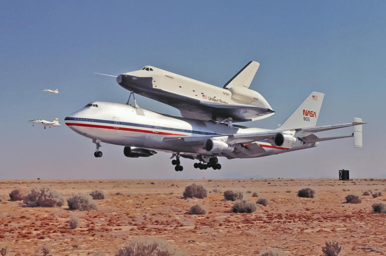 10 strange & surprising examples of air cargo