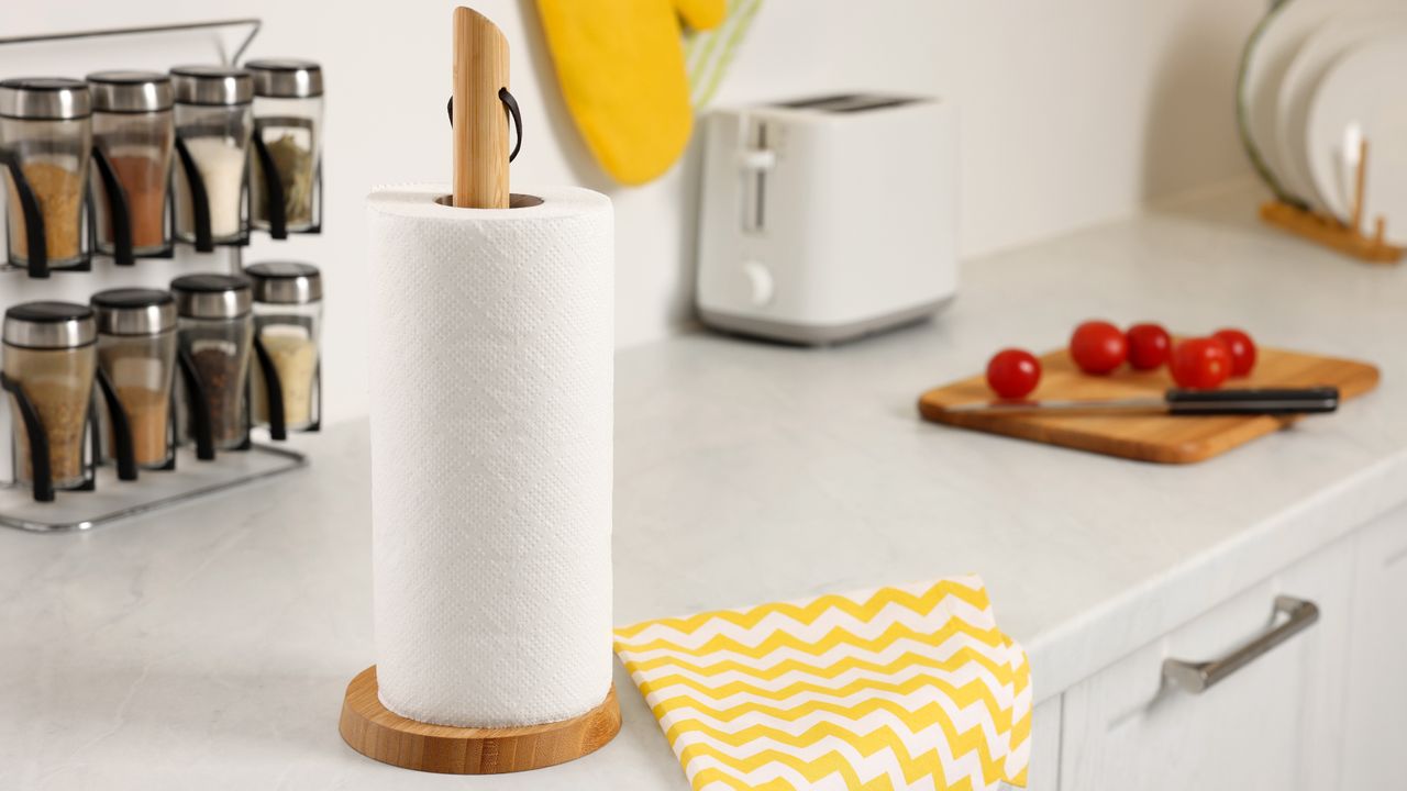 Paper towels vs dish cloths — we asked the experts on which is better ...
