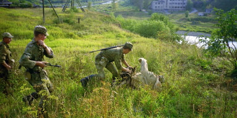 Russian border guards cross into NATO country