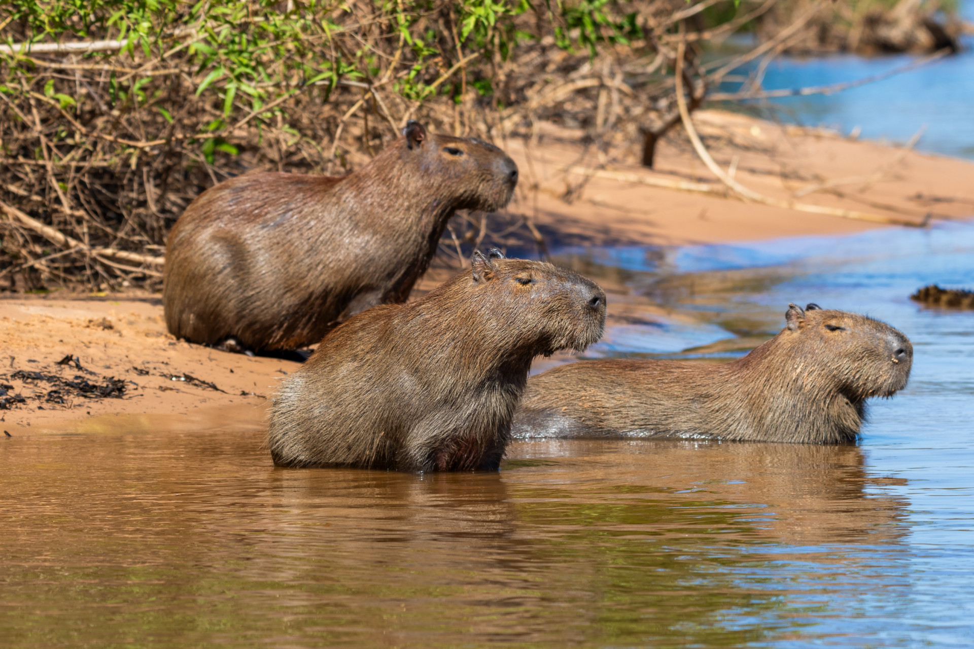 UNESCO World Heritage sites for nature and wildlife enthusiasts