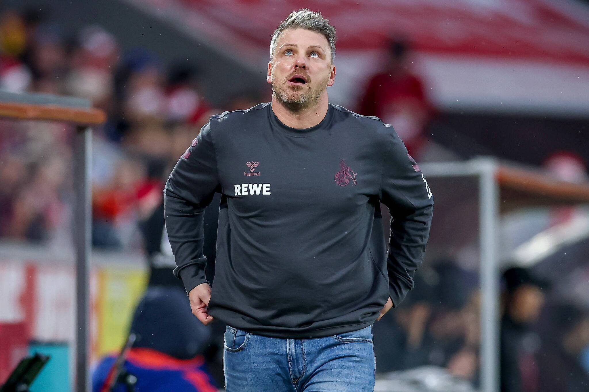 Ist die 2. Liga das perfekte Sprungbrett für Trainer?