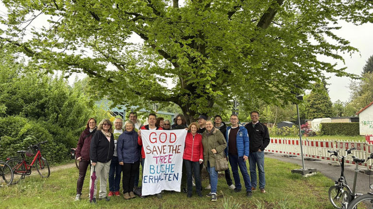 Leserbrief-Aktion: Anwohner wollen Buche noch in letzter Minute retten