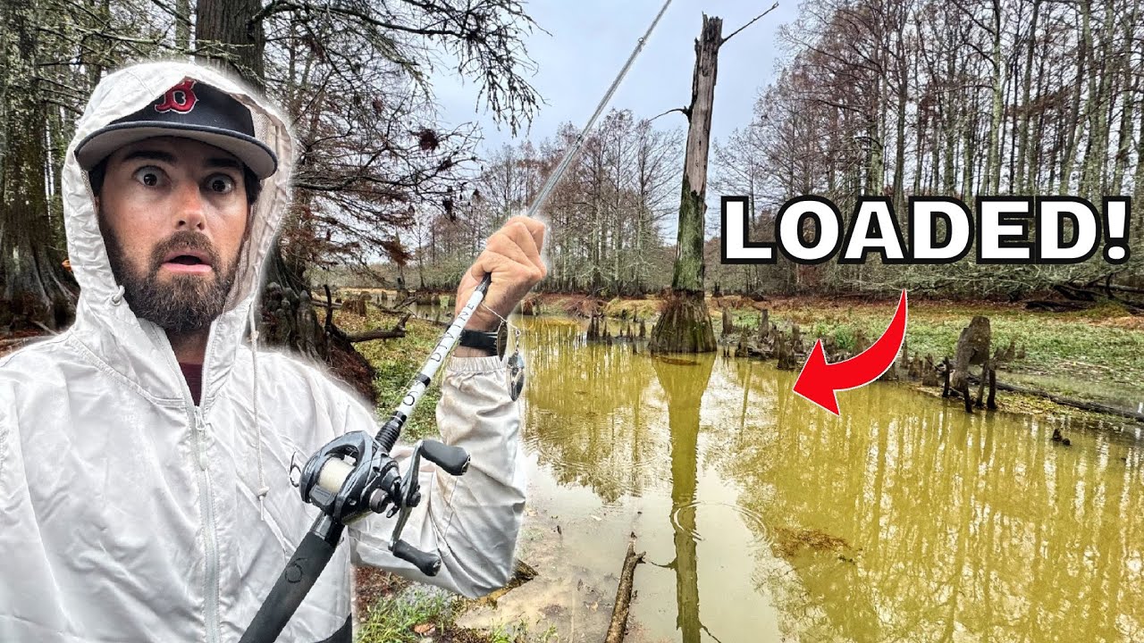 Creek loaded with fish exceeds expectations on epic trip