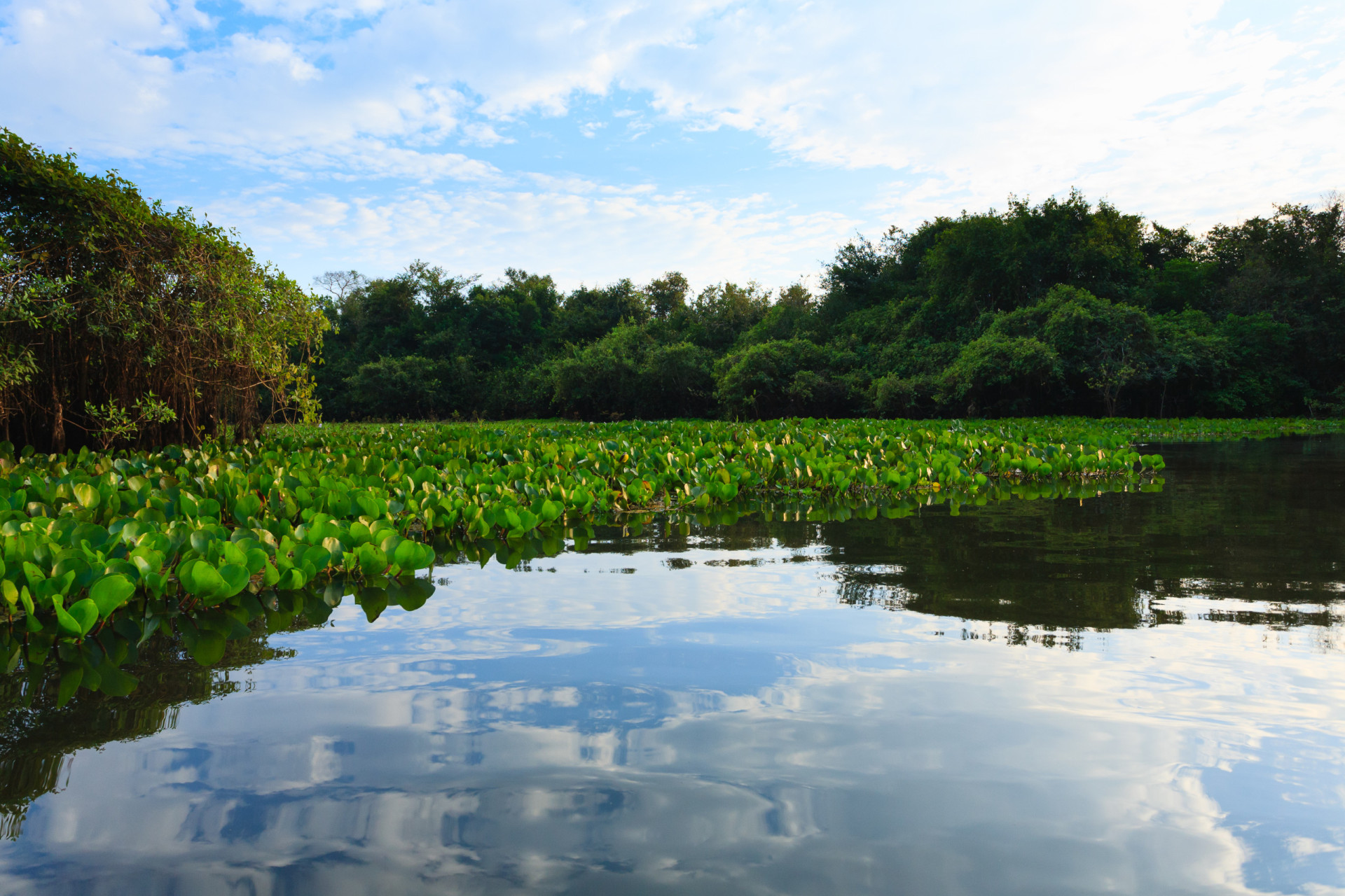 UNESCO World Heritage sites for nature and wildlife enthusiasts
