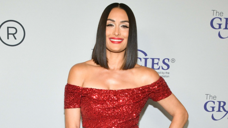 Are Nikki Bella and Cooper DeJean dating? Eagles locker room photos ...