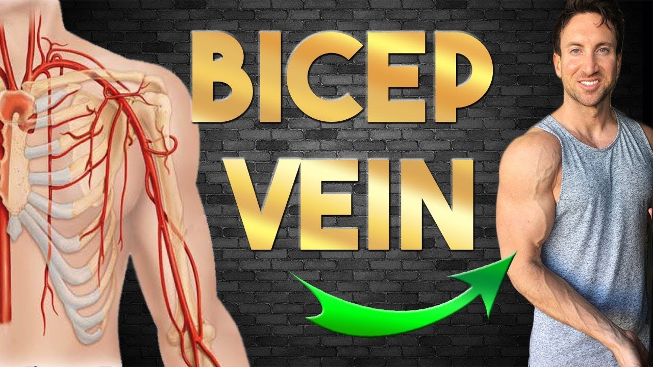 Get the bicep vein part two with 24-hour vascular arm tricks