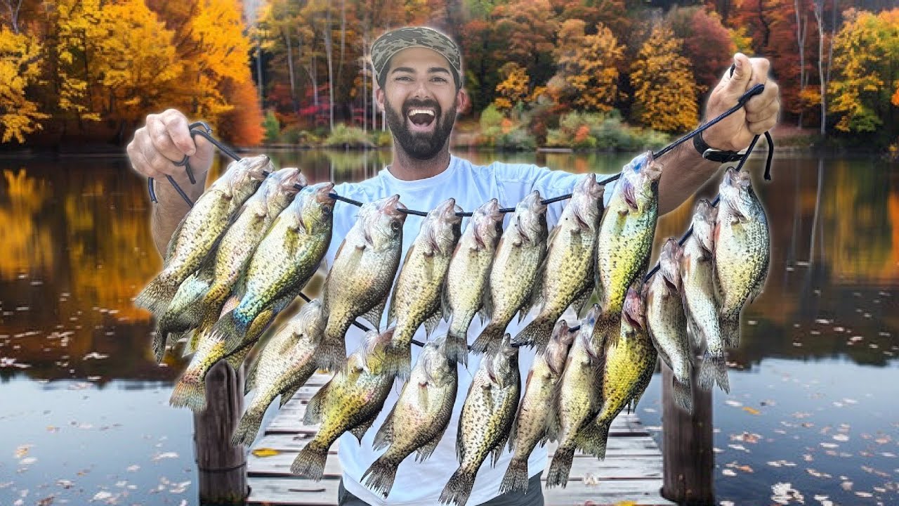 Fall crappie bite hits limit with irresistible jig