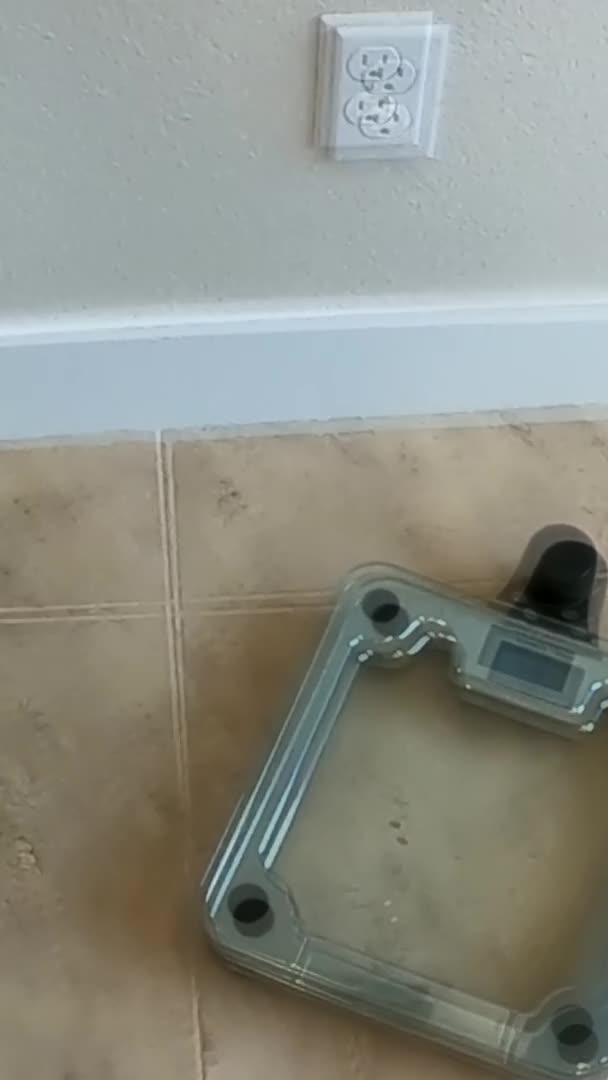 She freaked out and broke my stuff #shorts