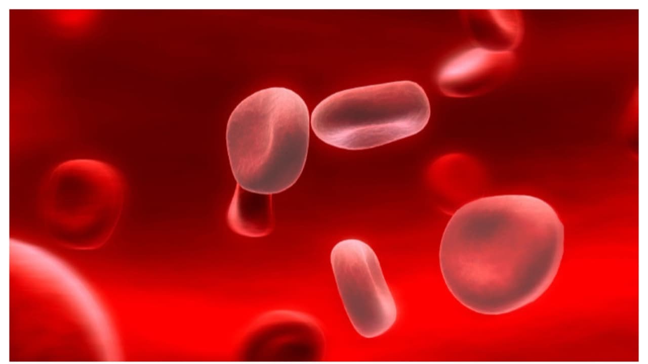 Early signs of anemia: How to recognize iron deficiency before it gets ...