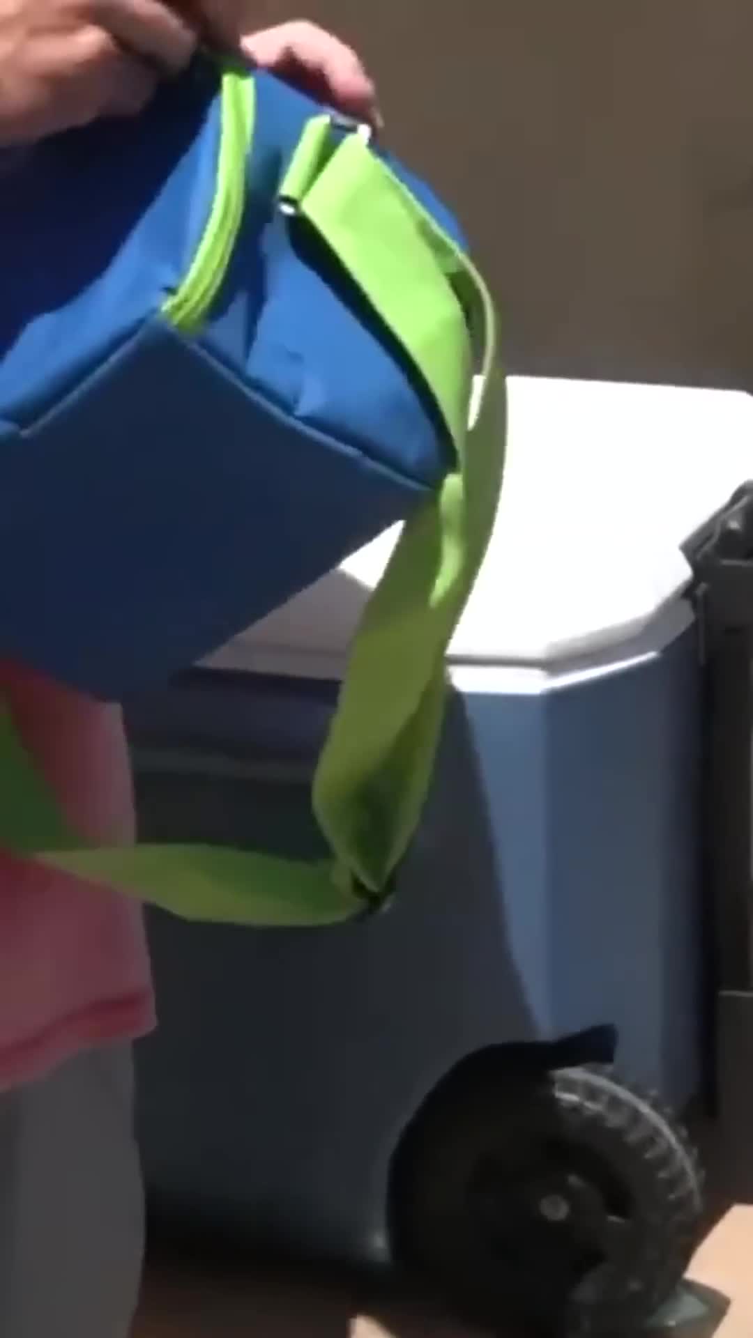 Where should I stick my head? #shorts