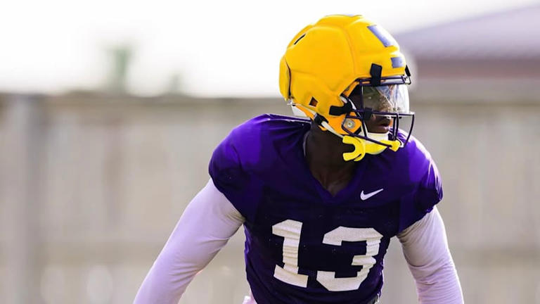 Pair of LSU football defensive weapons join exclusive list after latest ...
