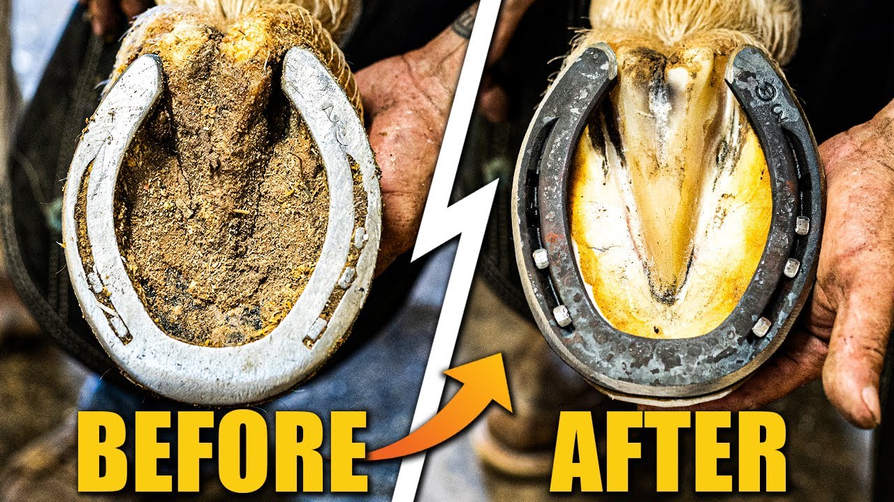 Full farrier tool restoration: Deep clean ASMR that’s oddly satisfying