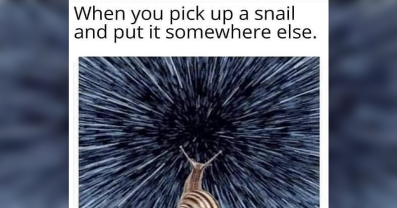 26 memes to keep you going
