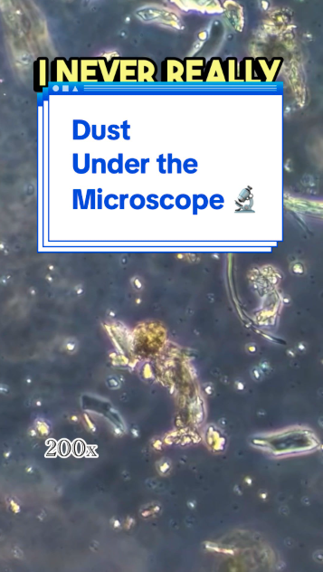 Dust under the microscope | A close-up look at everyday particles