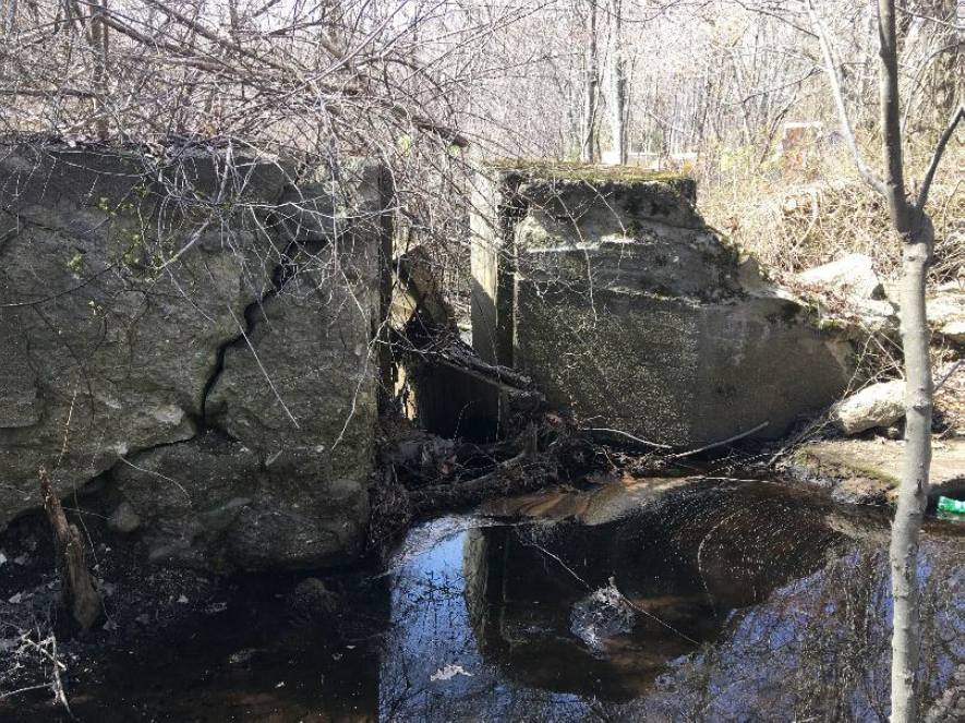 Historic sawmill site uncovered in New Bedford could become attraction