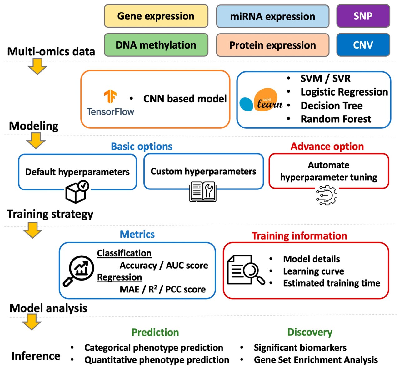 Researchers co-develop new deep learning platform to advance precision ...