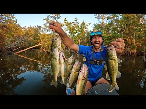 Draining swamp leads to fully loaded boat catch