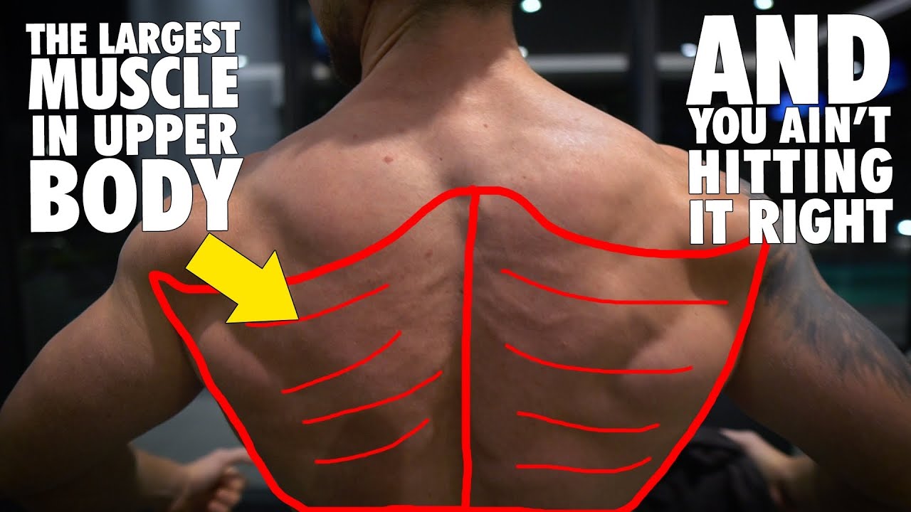 Superhuman back workout builds width using the Balloon Method
