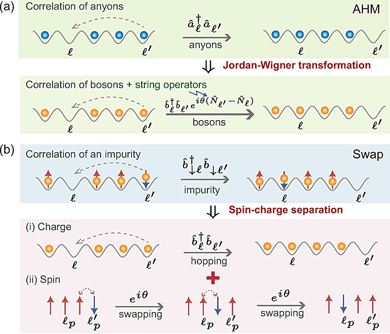 A simple spin swap reveals exotic anyons